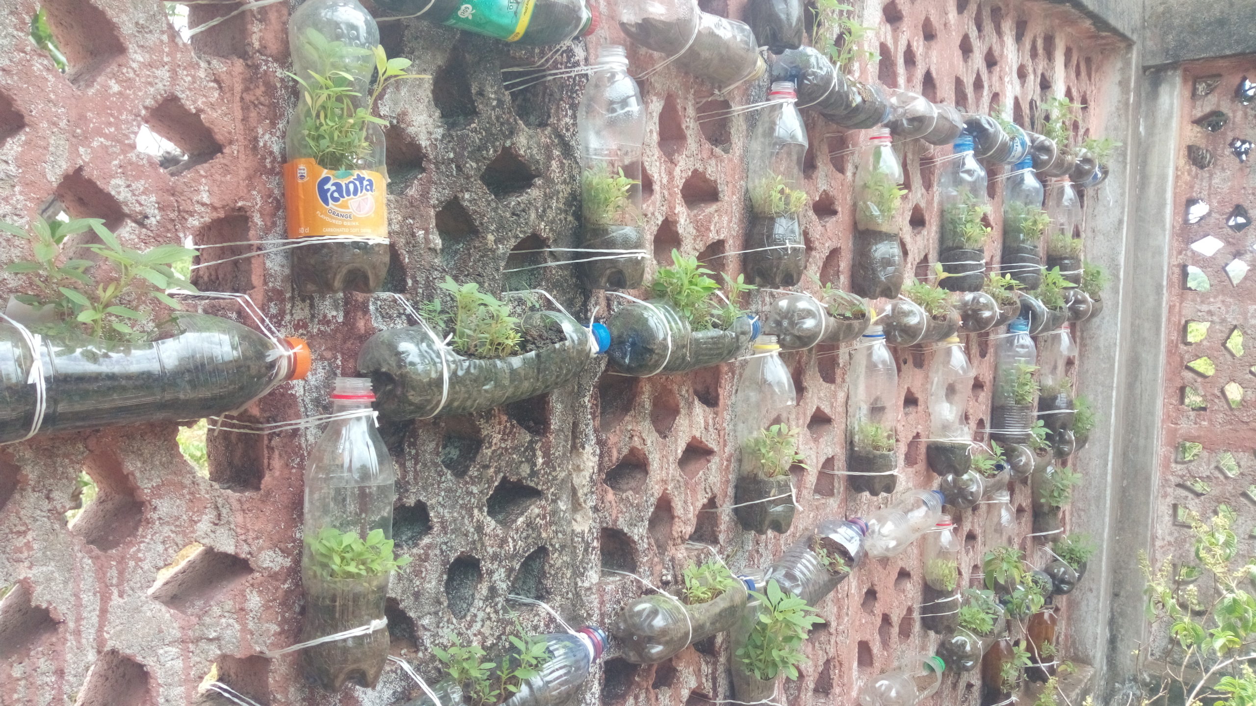 Prikkle Academy Inspiring Community Builders in Africa